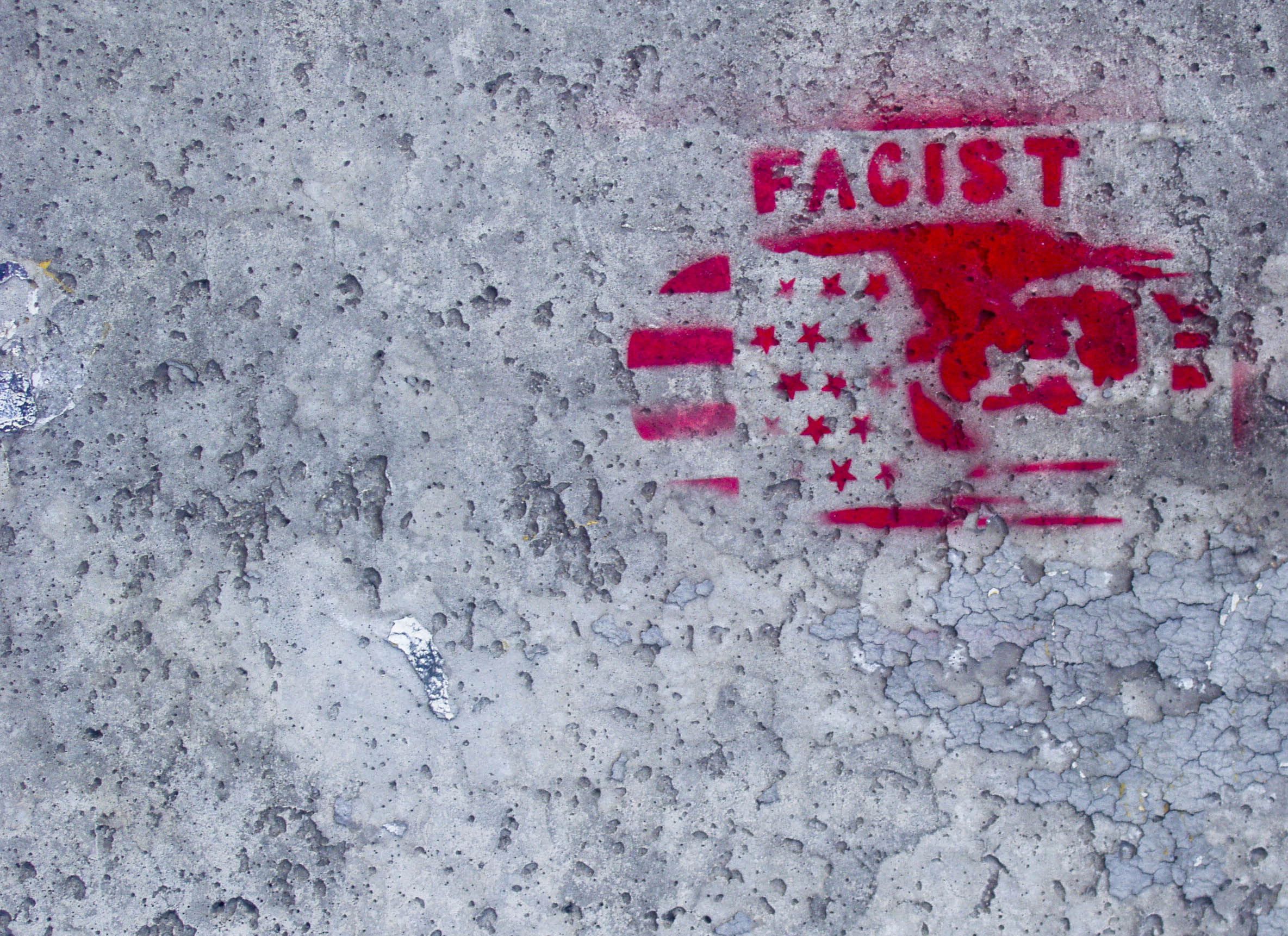 What does it really mean to call Trump a "fascist"? - Diane Rehm